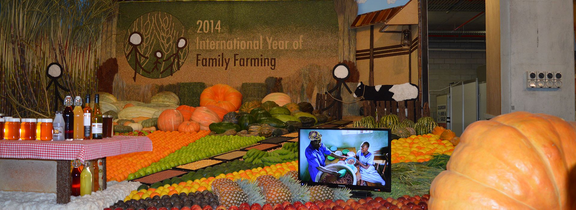 Tasmanian Agricultural Shows | Tasmanian Agricultural Shows