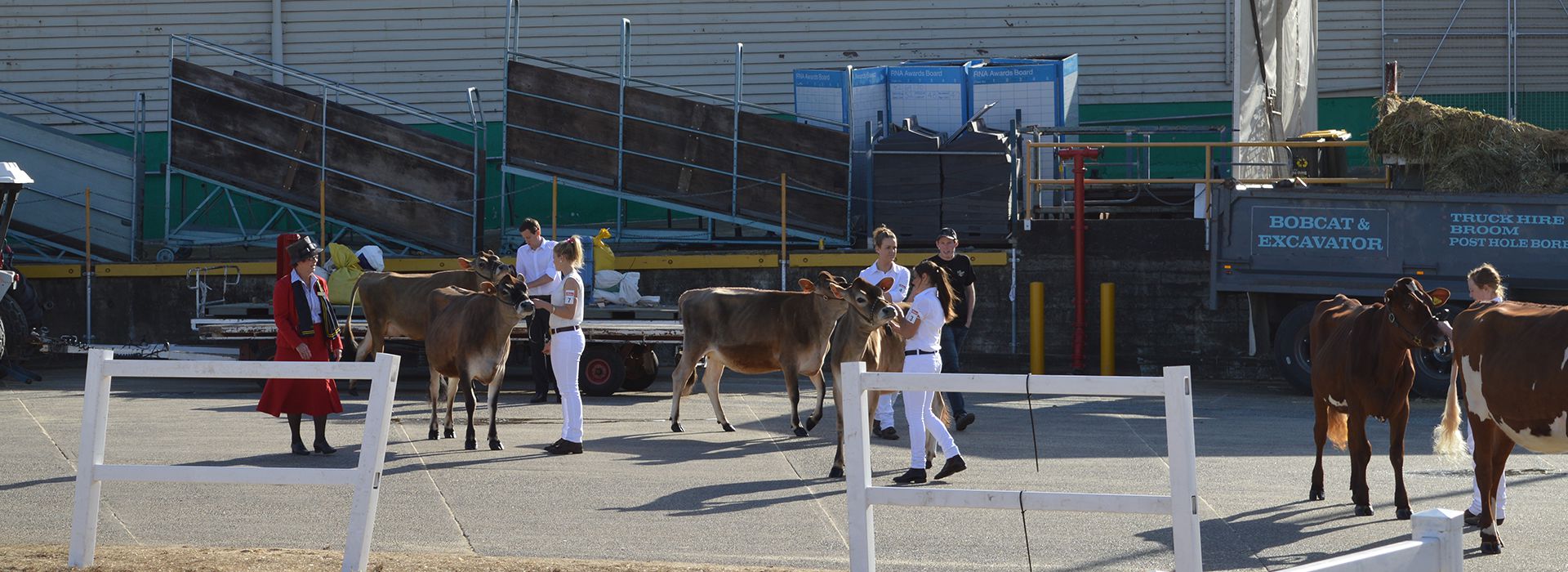 Tasmanian Agricultural Shows | Tasmanian Agricultural Shows